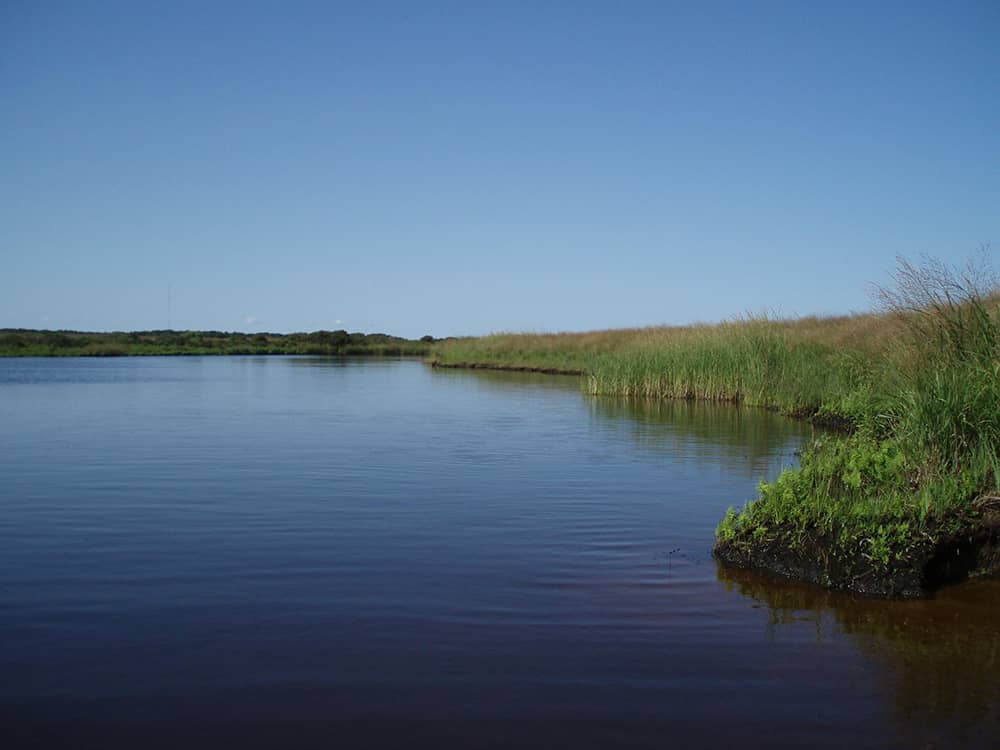 Nantucket Real Estate | Nantucket, MA | Congdon & Coleman Real Estate